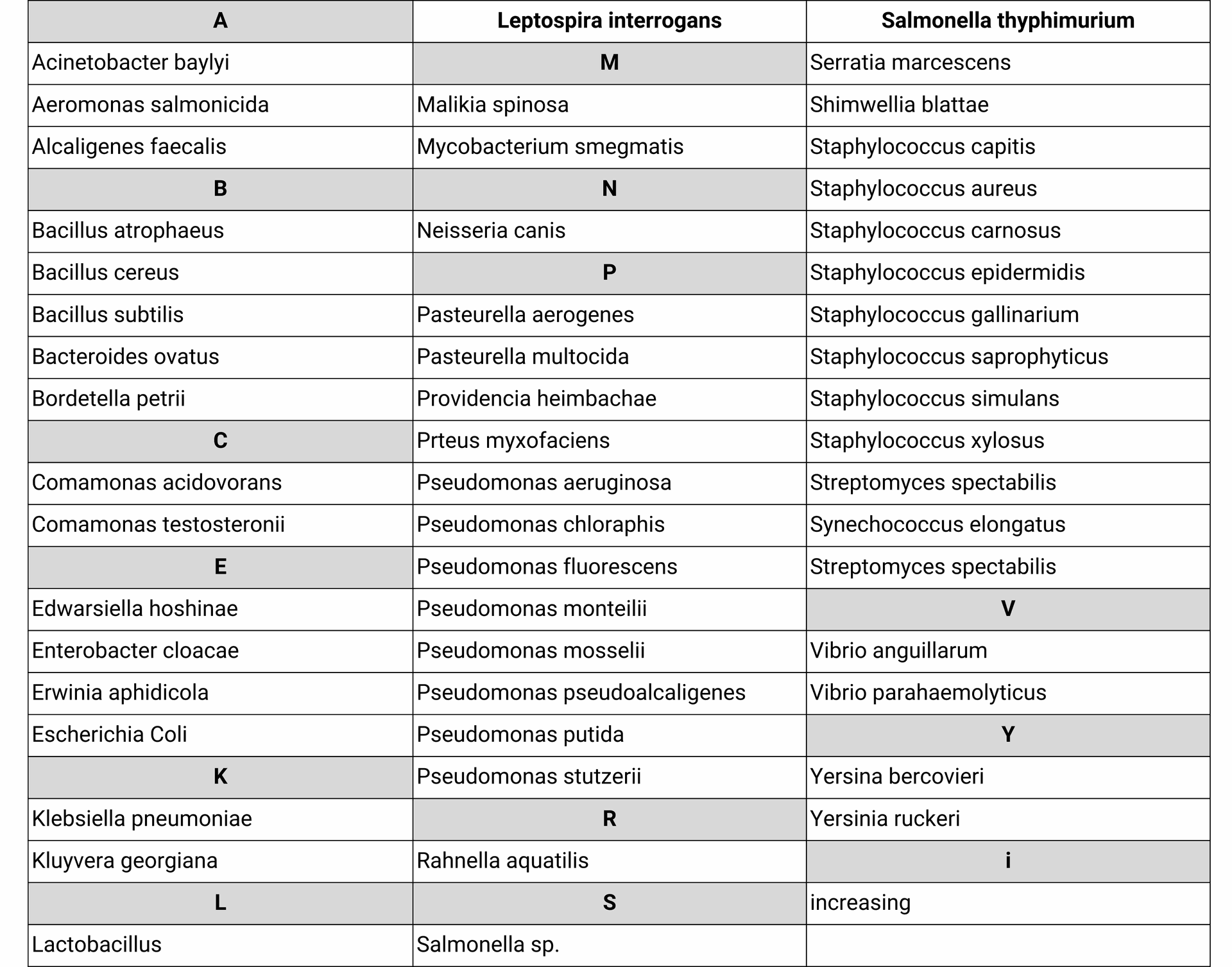 Rapid and Accurate Bacterial Counting