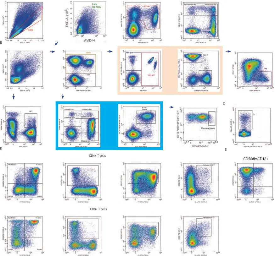 18-Color Immunophenotyping for Immune Surveillance with NovoCyte Quant