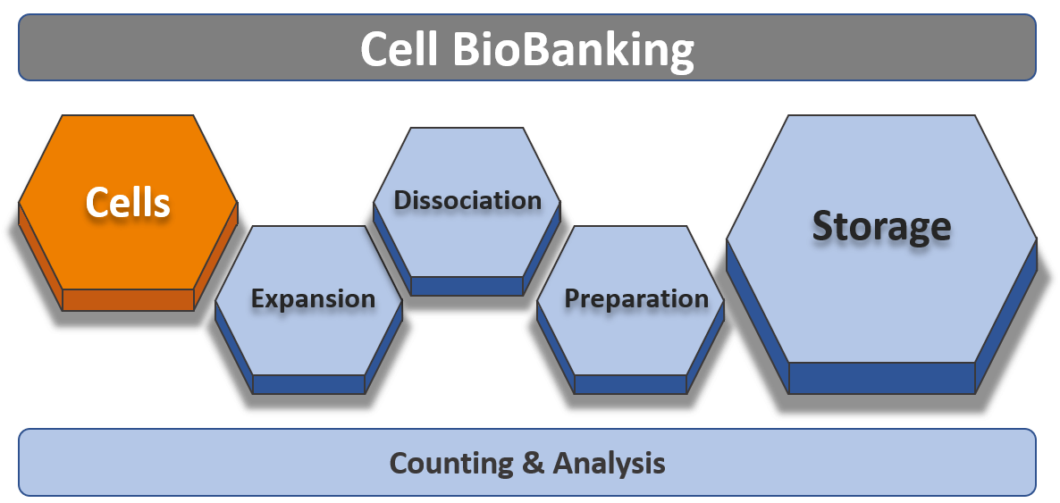 BioBanking Solutions | Your Home for Cell Research