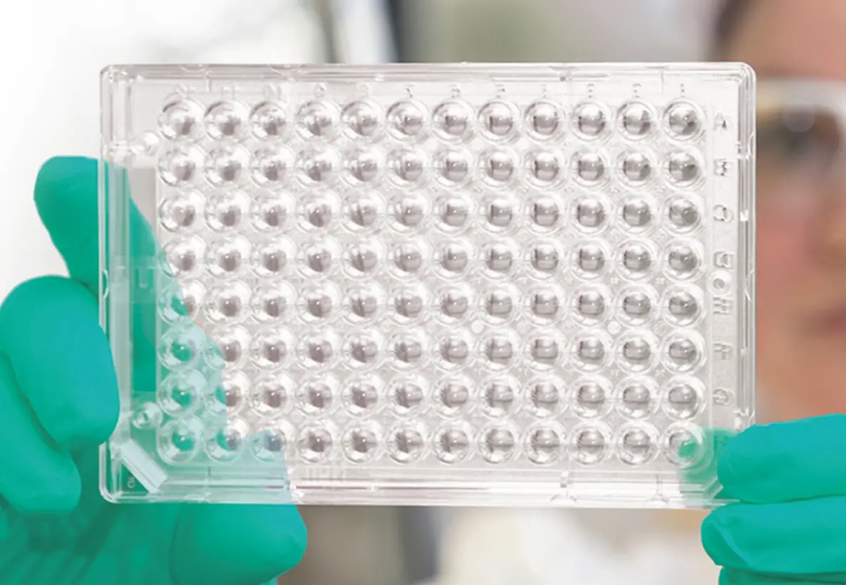 CEROplate Ultra-Low Attachment | Your Partner in Cell Research