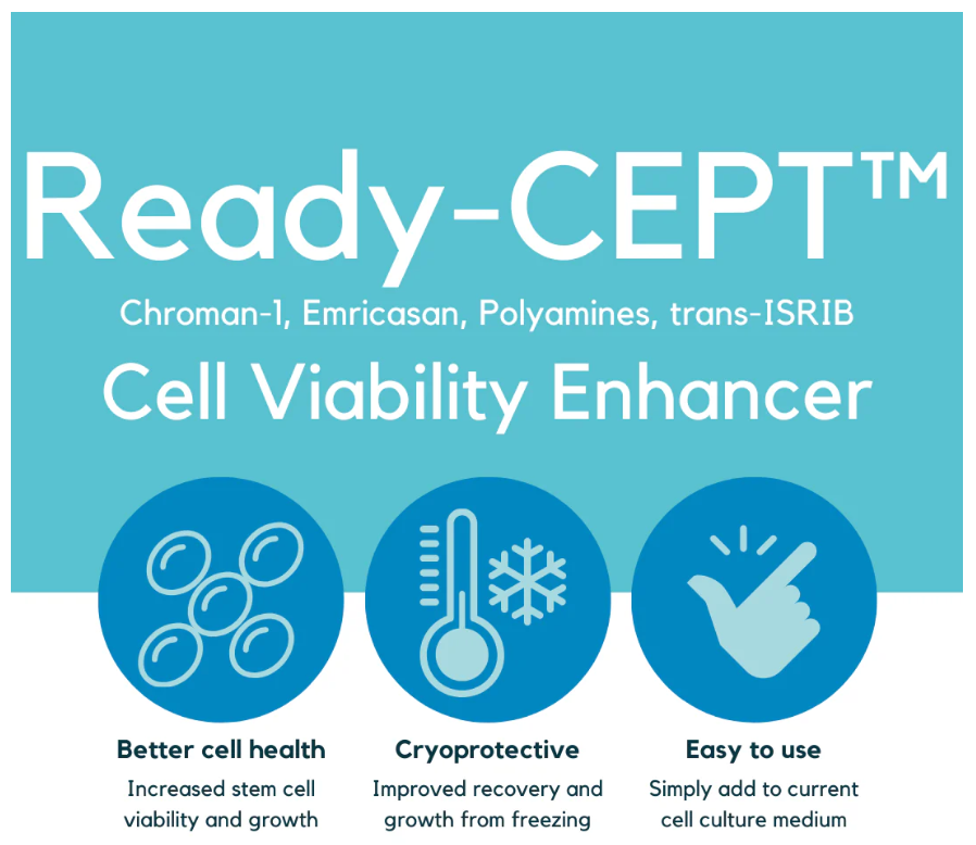 Stem Cell Culture | Your Partner in Cell Research