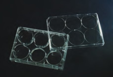 Tissue Culture Plates, Treated, 6 well, 9.5 cm2 surface, Packed in ...